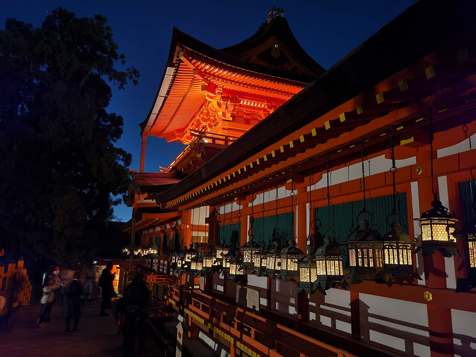 進入奈良公園需要門票嗎？ 介紹鹿園！ | neoNARA | 奈良旅遊地點