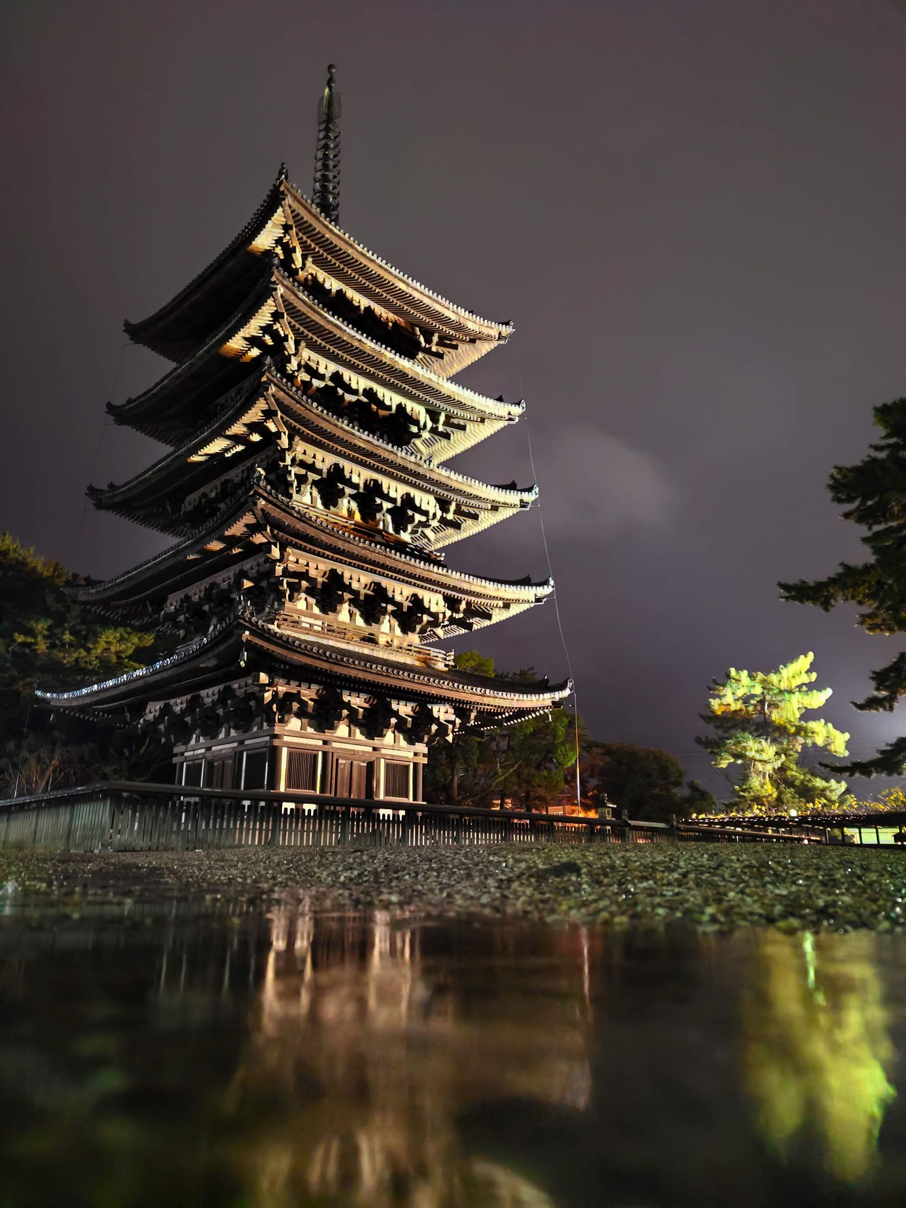 進入奈良公園需要門票嗎？ 介紹鹿園！ | neoNARA | 奈良旅遊地點