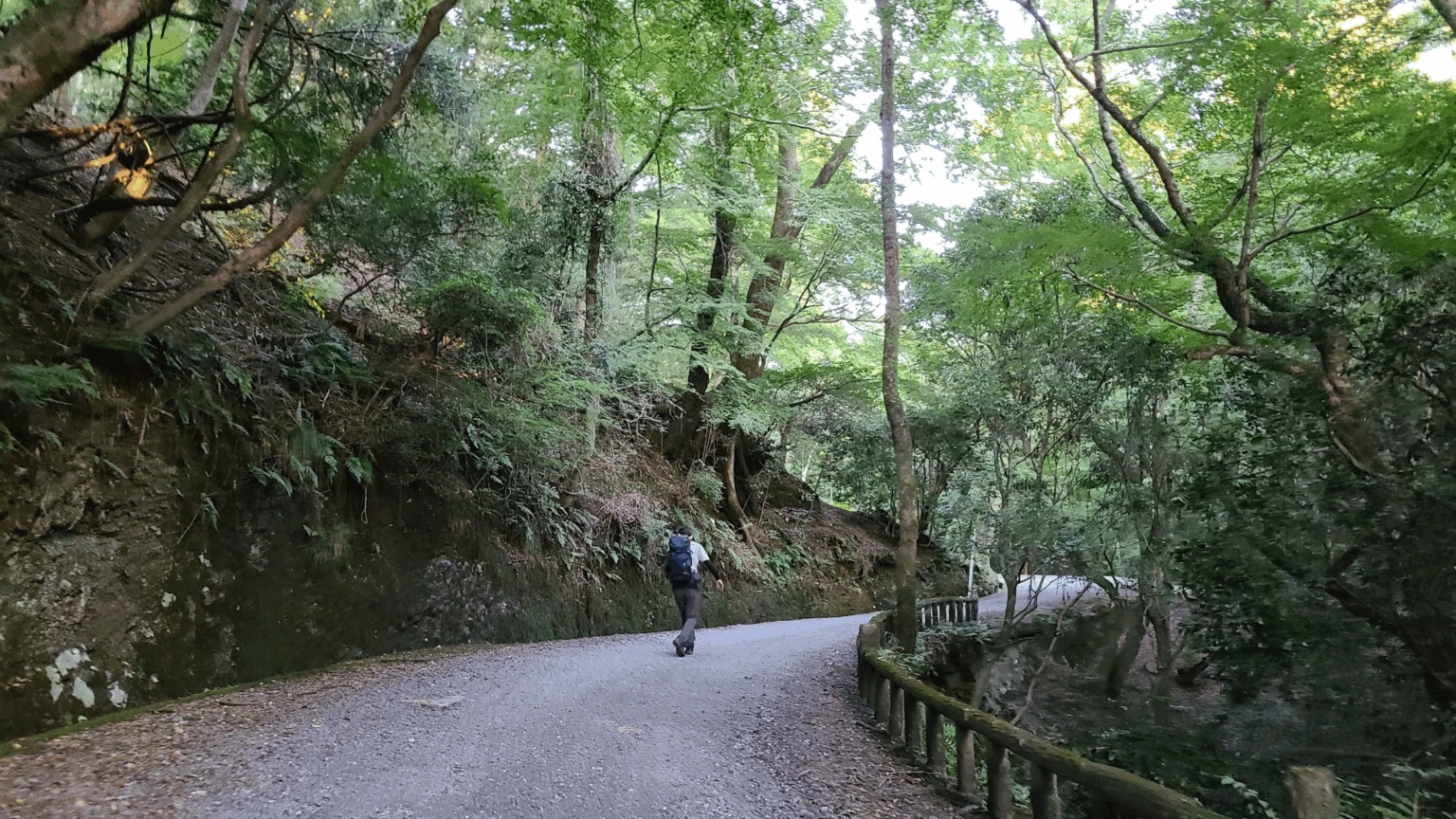 奈良若草山完全指南│交通方式、健行路線、若草山燒活動介紹 | neoNARA | 奈良旅遊地點