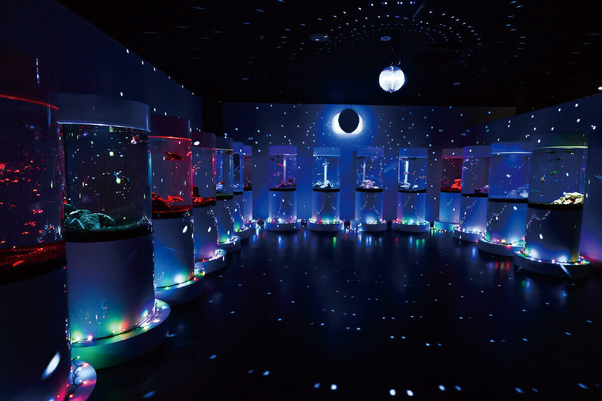 JWマリオット奈良周辺の観光スポット5選！ | neoNARA | 奈良観光サイト