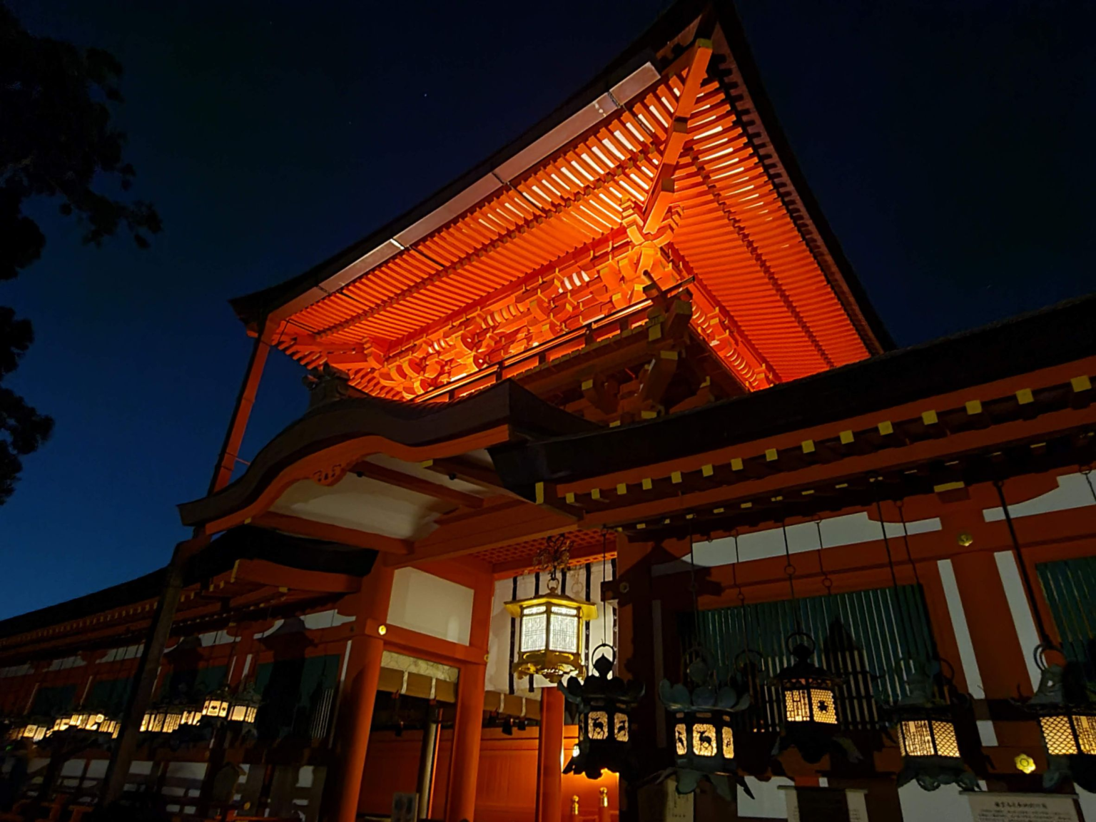 【なら瑠璃絵2025】見どころはココ！花火や屋台、料金など日程まとめ。 | neoNARA | 奈良観光サイト