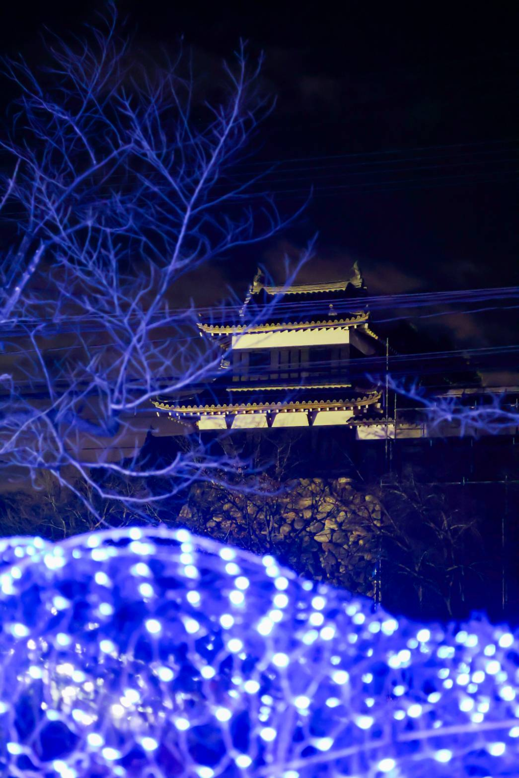 【2025ｰ2026】奈良でおすすめのイルミネーション特集！今日開催の場所や時間帯まとめ | neoNARA | 奈良観光サイト