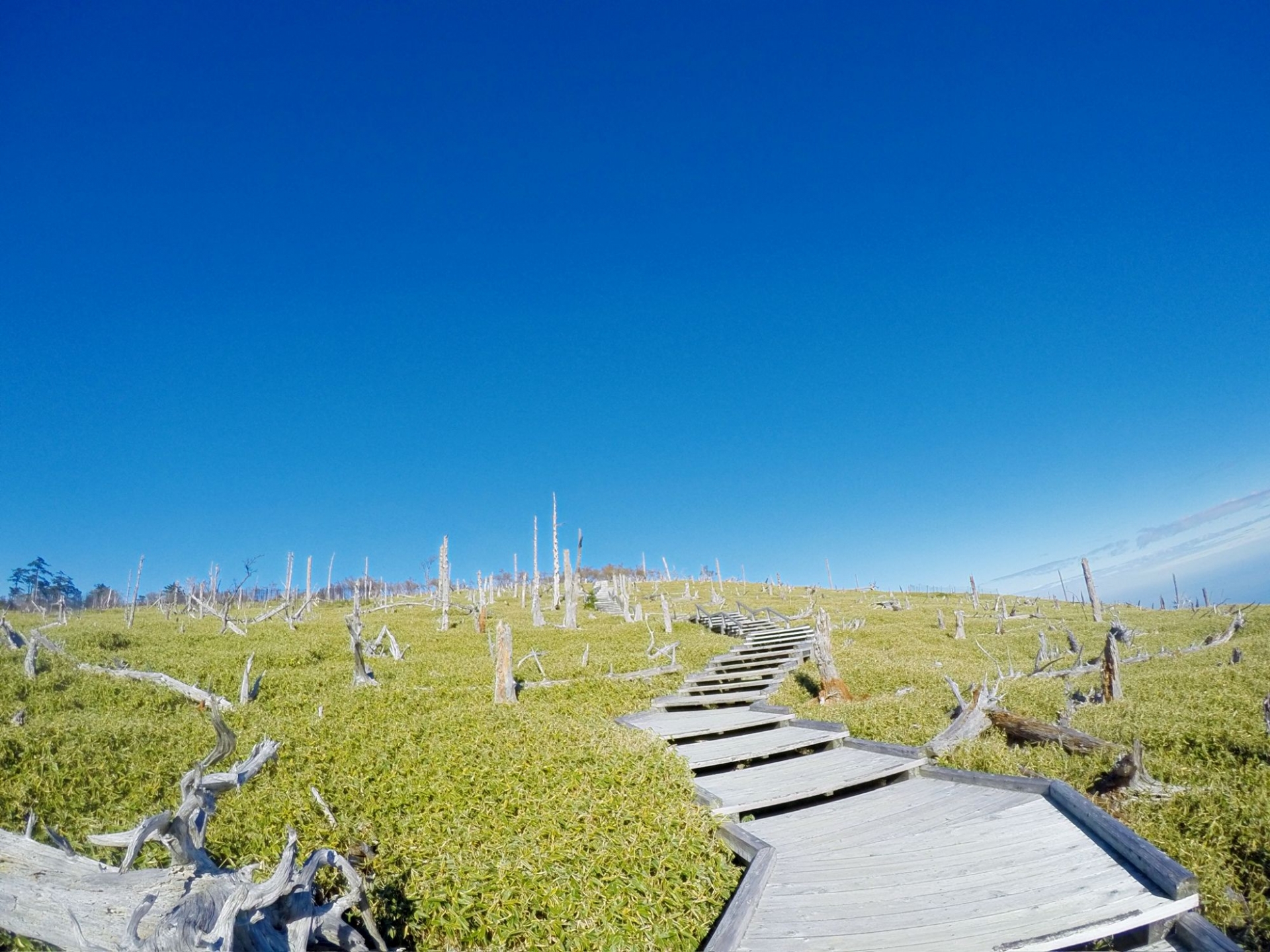 奈良ツーリングの絶景スポット5選│おすすめのワインディングコースを紹介！曽爾高原・大台ケ原など | neoNARA | 奈良観光サイト