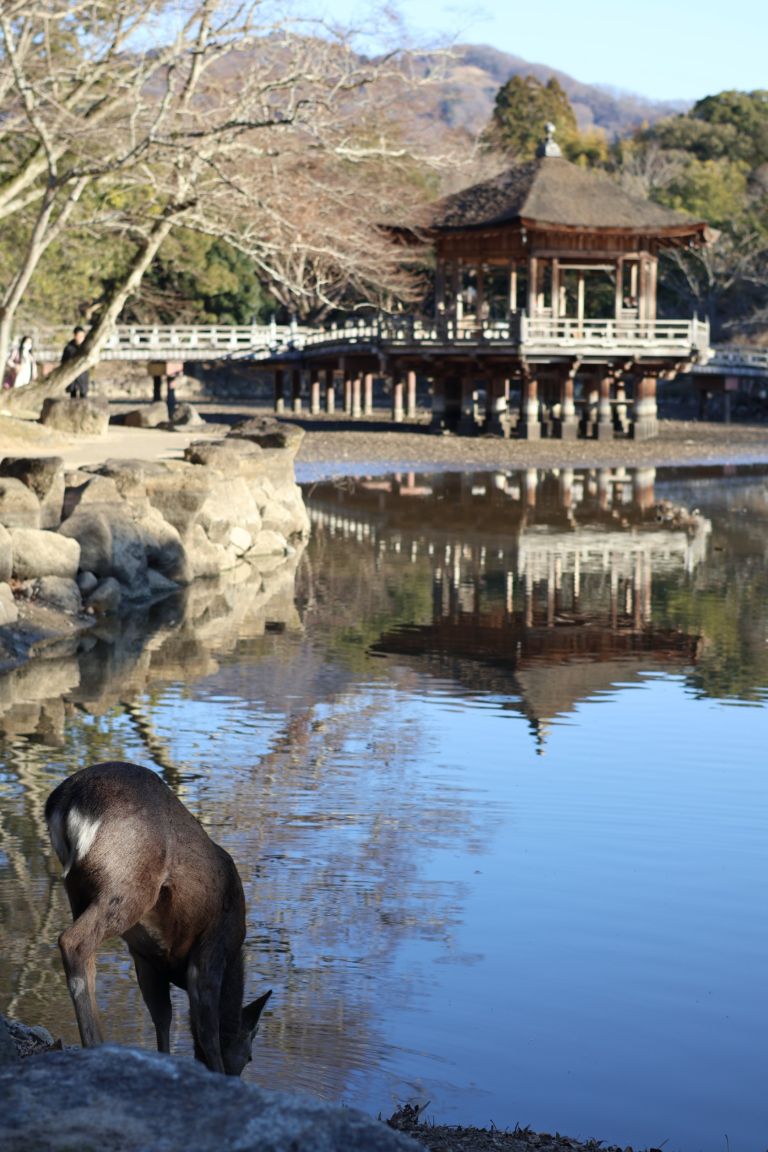 奈良ツーリングの絶景スポット5選│おすすめのワインディングコースを紹介！曽爾高原・大台ケ原など | neoNARA | 奈良観光サイト