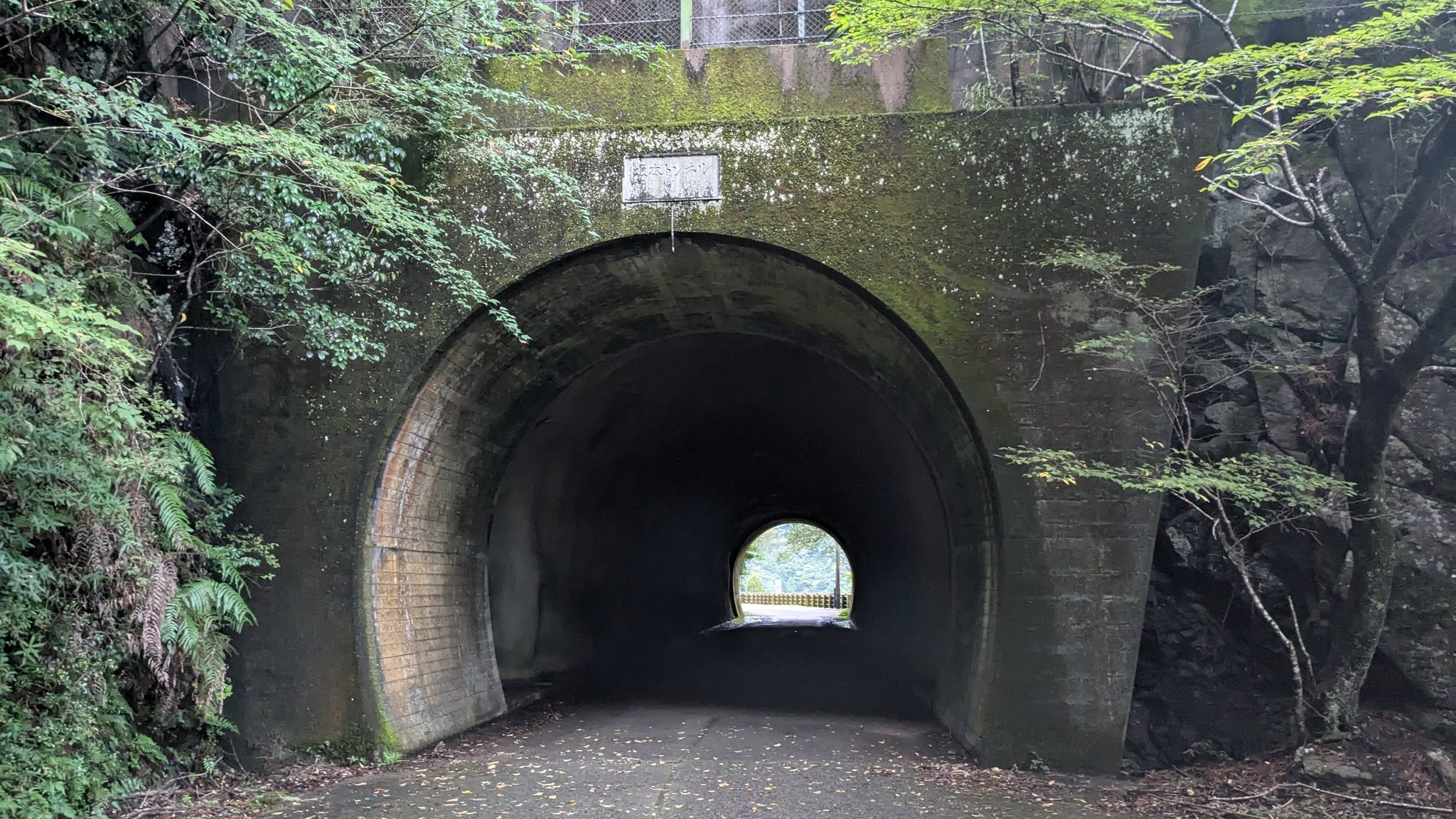 【穴場】あまり知られていない奈良のツーリングスポット5選！龍王ヶ渕や野迫川村などを紹介 | neoNARA | 奈良観光サイト