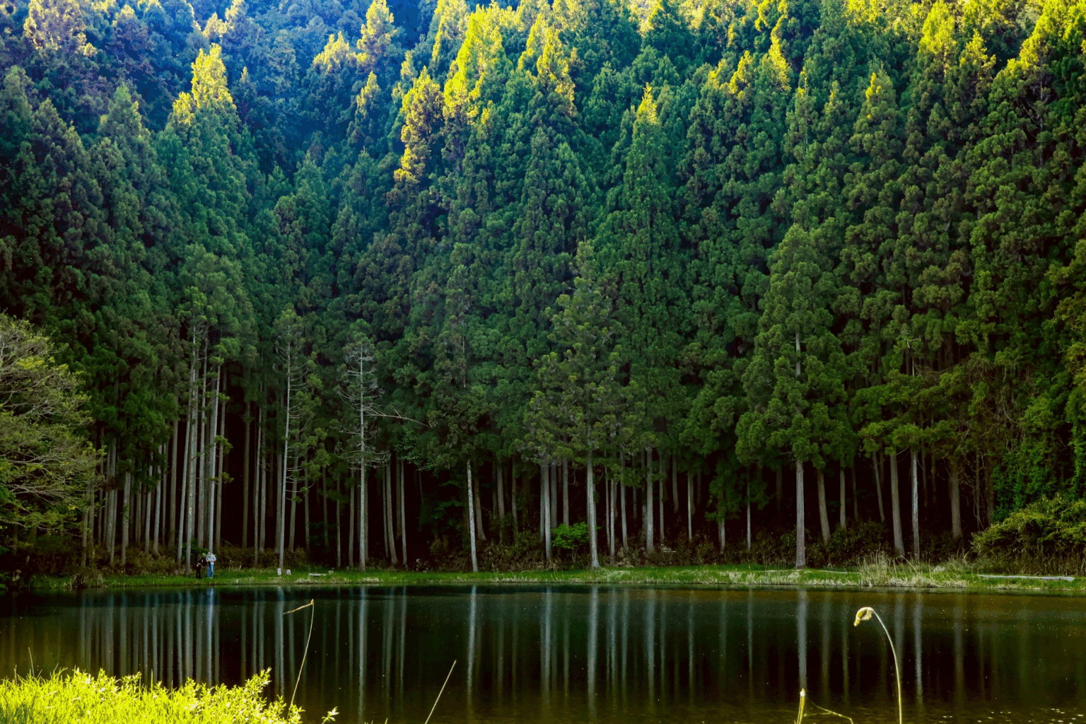 奈良でぼーっとできる場所はここ。人が少ない穴場のスポットを紹介！ | neoNARA | 奈良観光サイト