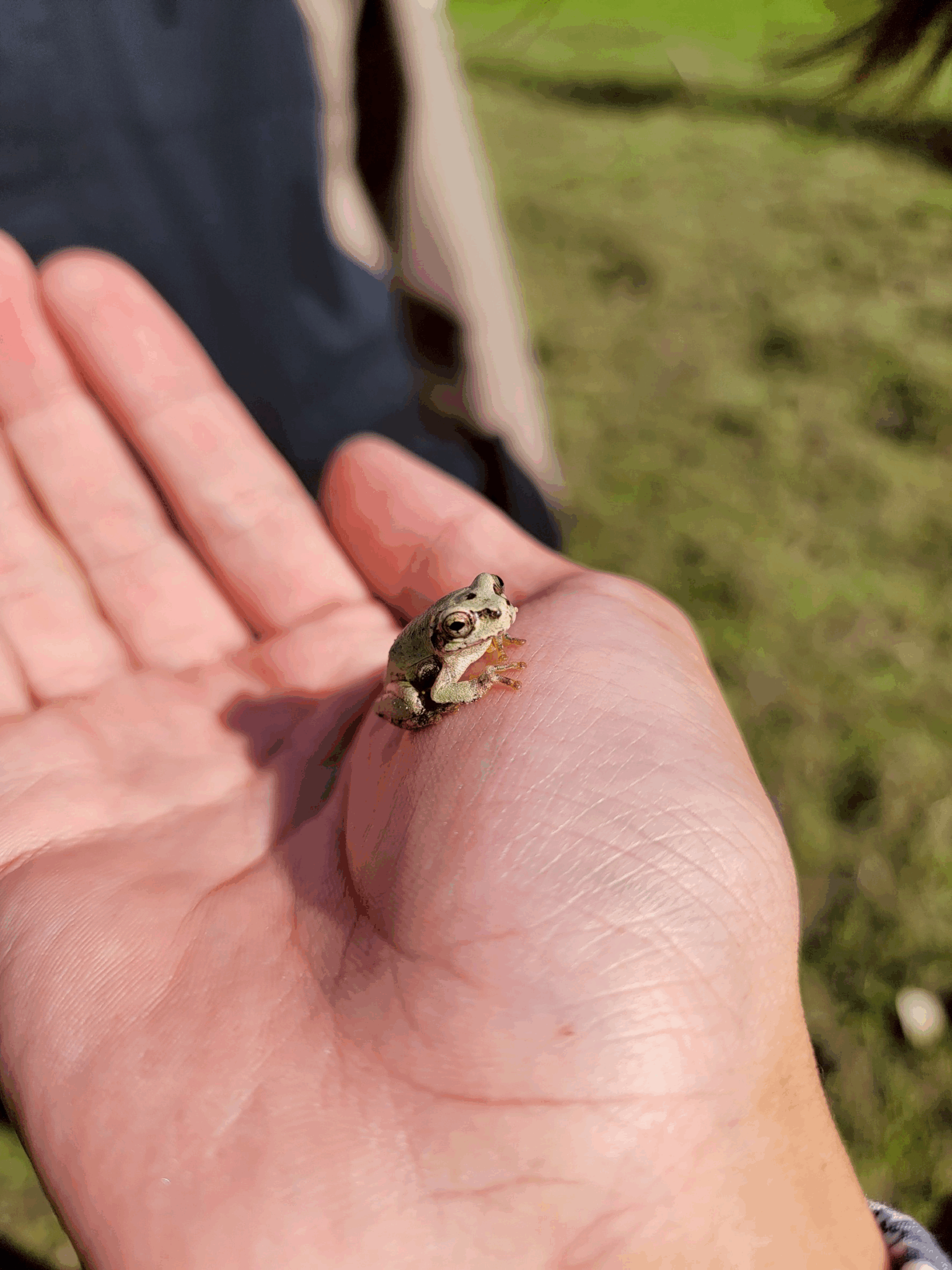 【穴場】あまり知られていない奈良のツーリングスポット5選！龍王ヶ渕や野迫川村などを紹介 | neoNARA | 奈良観光サイト