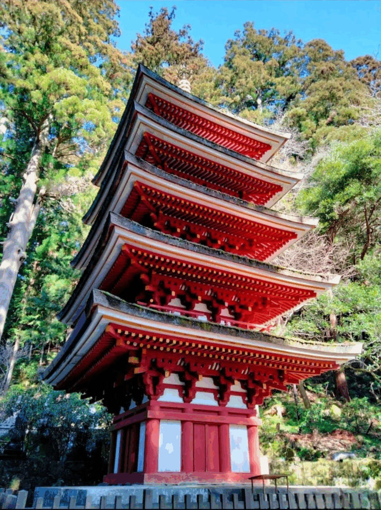 奈良ツーリングの絶景スポット5選│おすすめのワインディングコースを紹介！曽爾高原・大台ケ原など | neoNARA | 奈良観光サイト