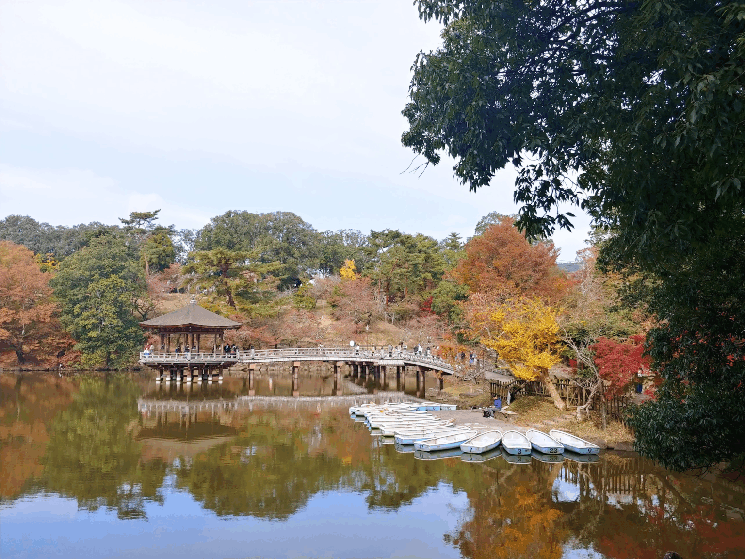 奈良の紅葉名所15選！見頃時期・ライトアップ・穴場スポットまで完全ガイド | neoNARA | 奈良観光サイト