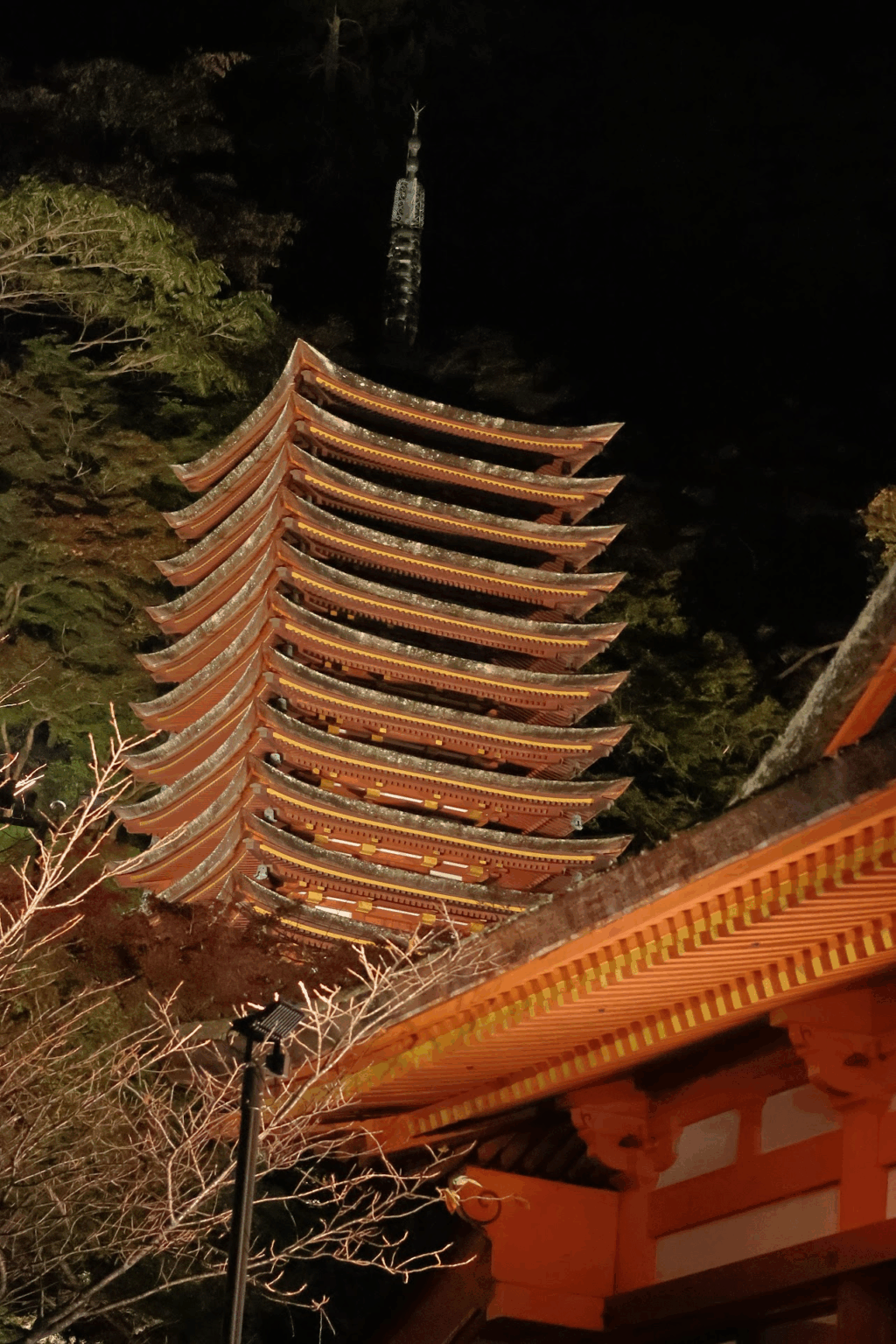 奈良の紅葉名所15選！見頃時期・ライトアップ・穴場スポットまで完全ガイド | neoNARA | 奈良観光サイト