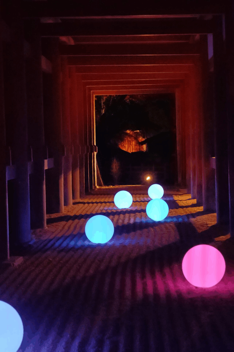 奈良の紅葉名所15選！見頃時期・ライトアップ・穴場スポットまで完全ガイド | neoNARA | 奈良観光サイト