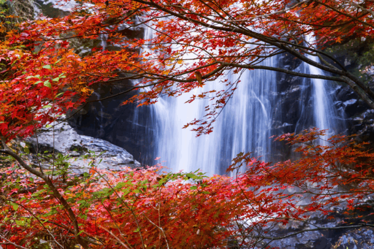 奈良の紅葉名所15選！見頃時期・ライトアップ・穴場スポットまで完全ガイド | neoNARA | 奈良観光サイト